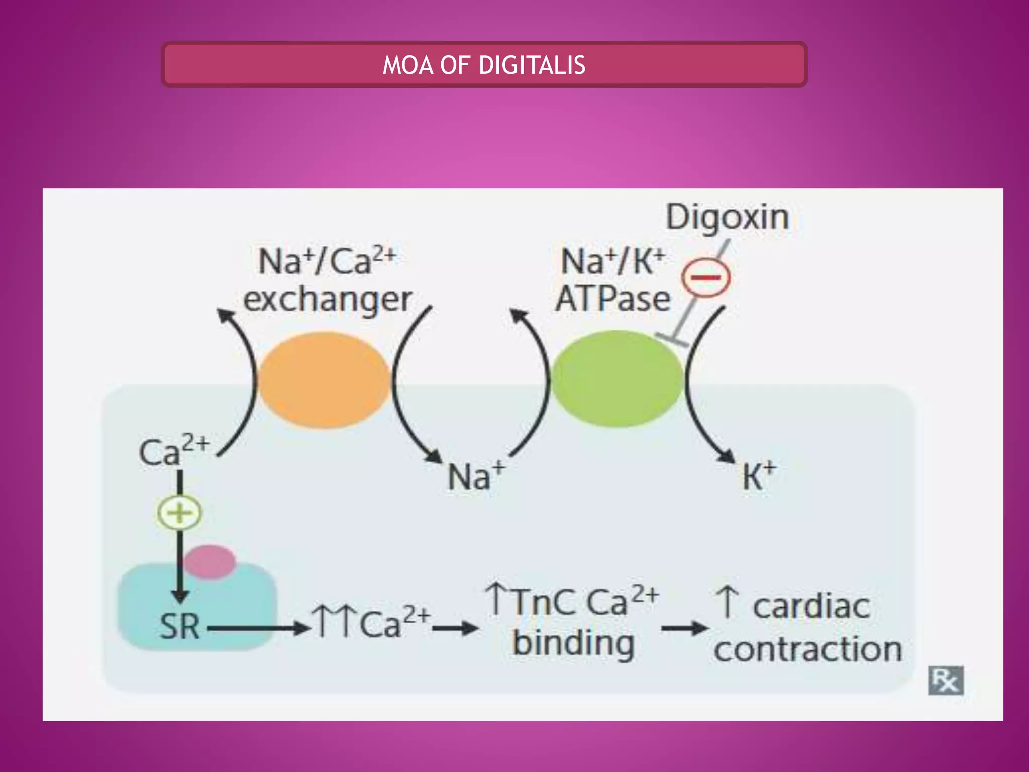 CVS PHARMACOLOGY AND-MOA of drugs in organ system pharmacology | PPT