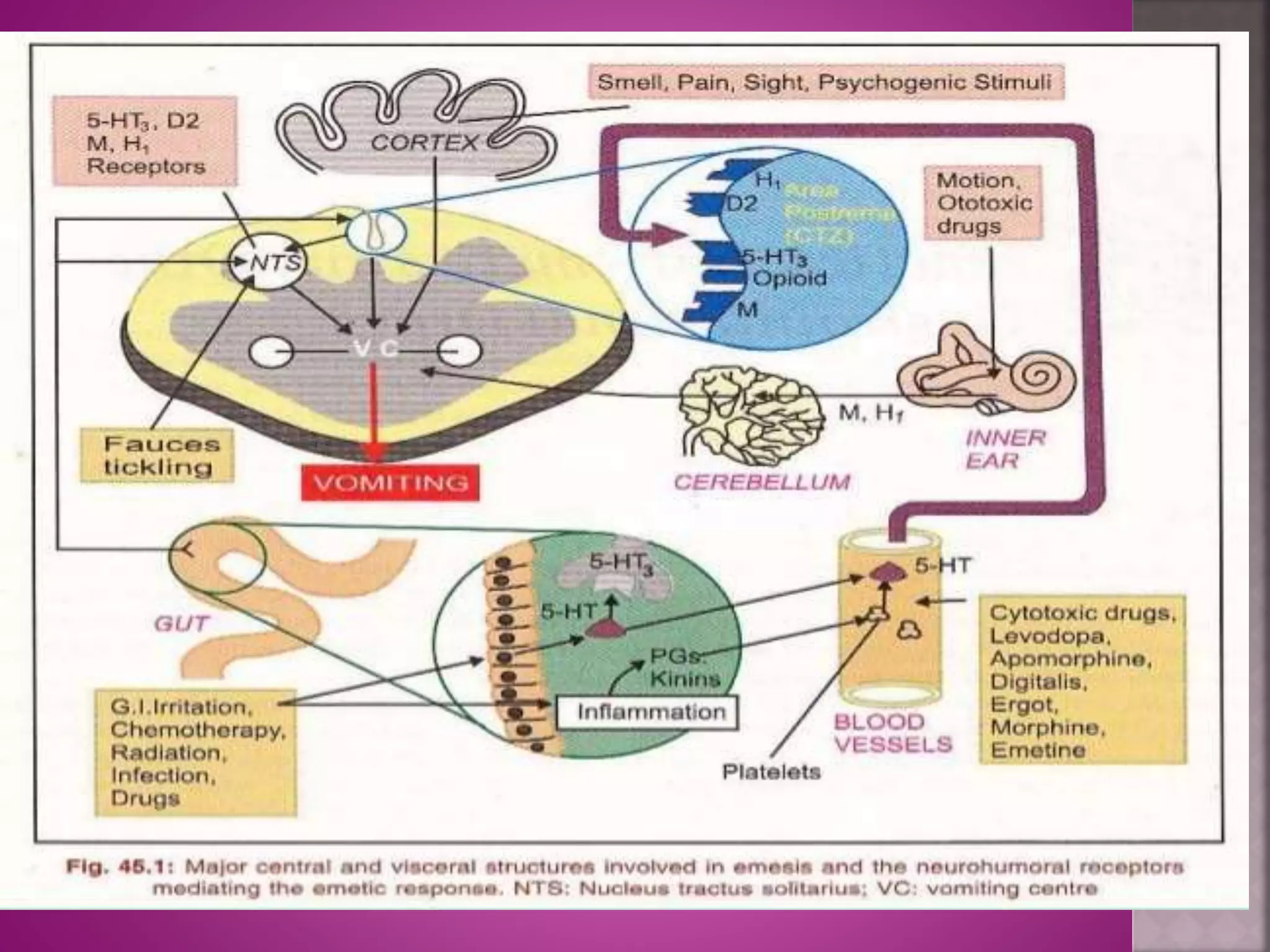 CVS PHARMACOLOGY AND-MOA of drugs in organ system pharmacology | PPT