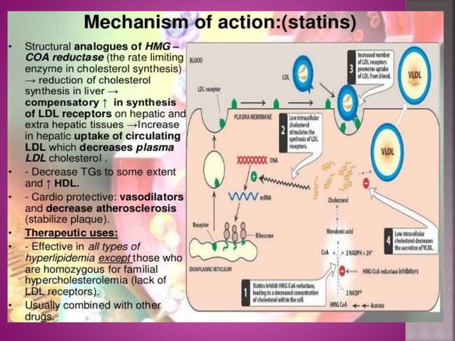 CVS PHARMACOLOGY AND-MOA of drugs in organ system pharmacology | PPT