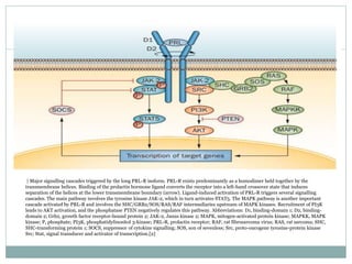 MOA of prolectin harmones.pptx