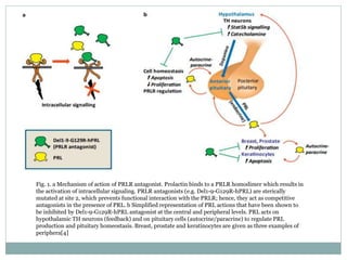 MOA of prolectin harmones.pptx