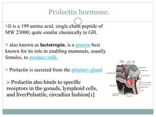 MOA of prolectin harmones.pptx
