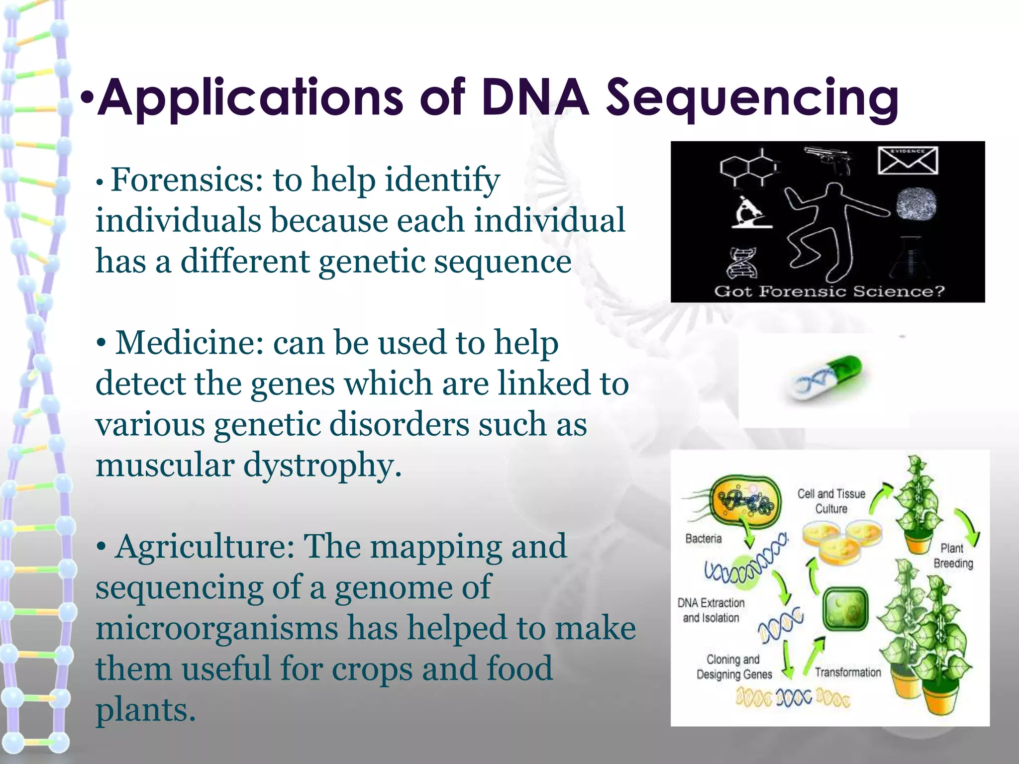 DNA SEQUENCING METHOD | PPTX