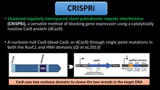 Mobile CRISPRi | PPTX