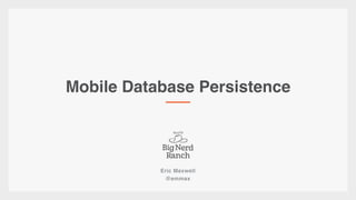 Mobile Database Persistence | PPT