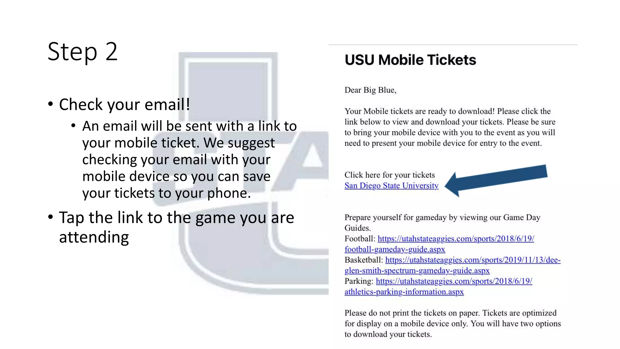 Mobile delivery walkthrough | PPTX