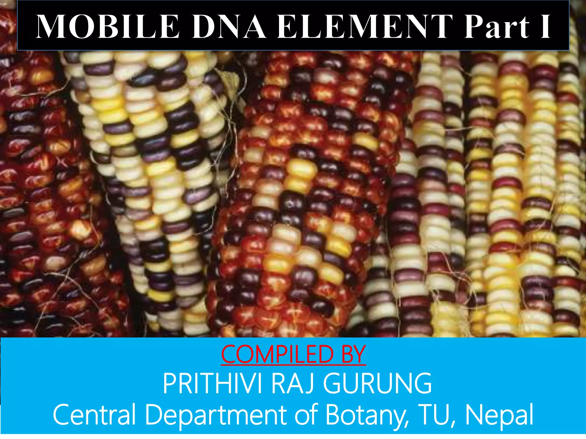 Mobile DNA Element-Transposable ! | PPTX
