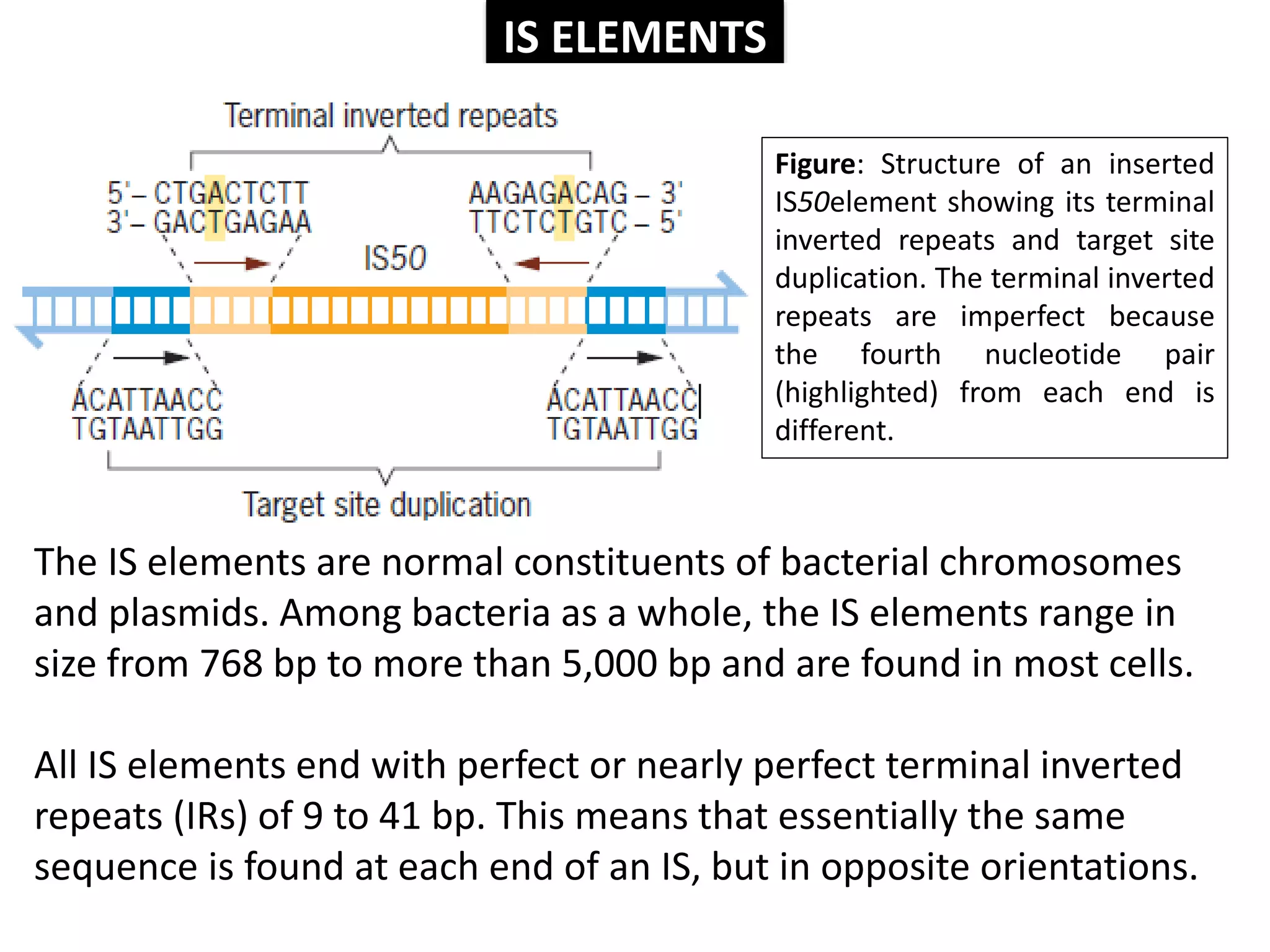 Mobile DNA Element-Transposable ! | PPTX