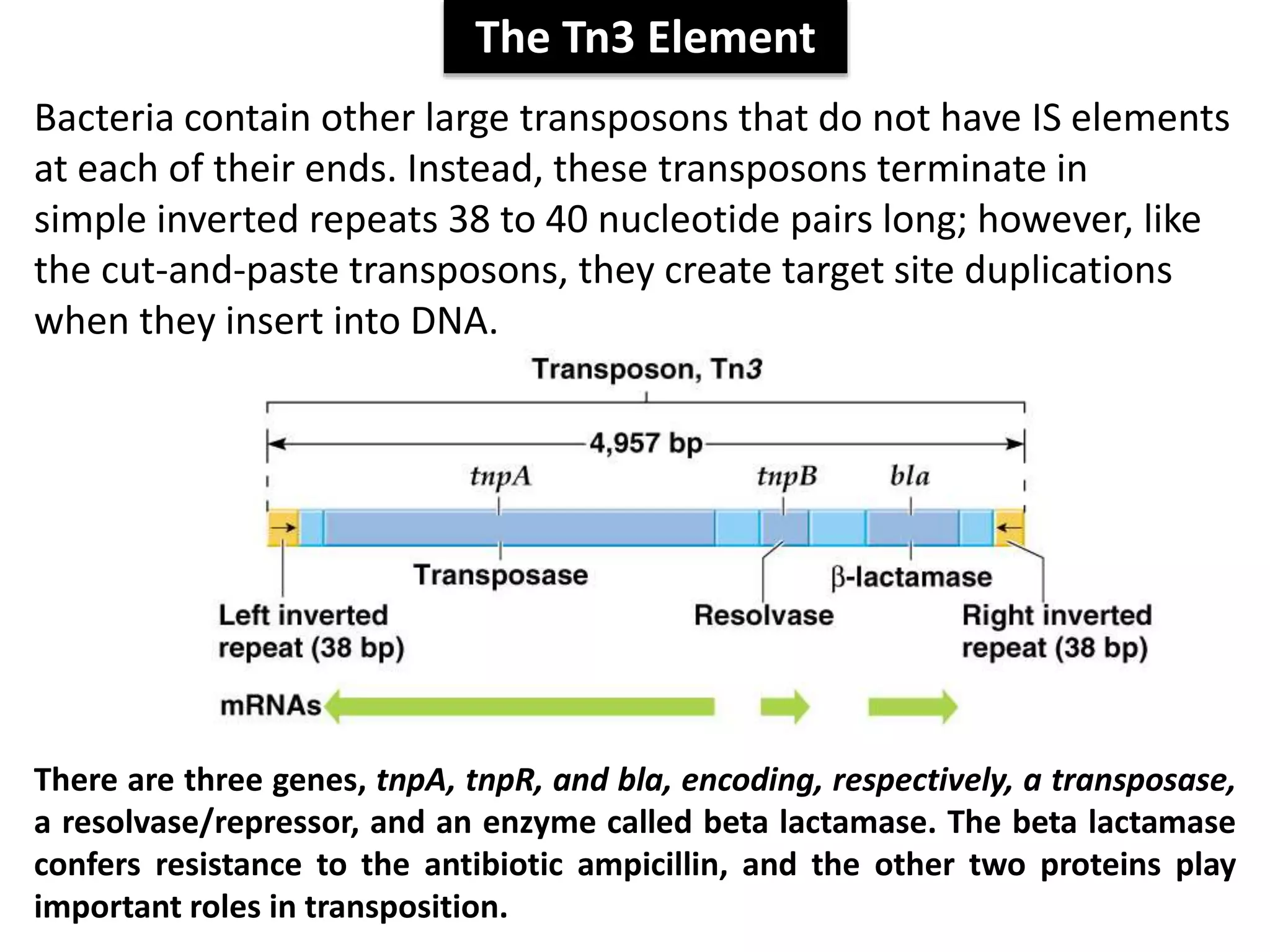 Mobile DNA Element-Transposable ! | PPTX