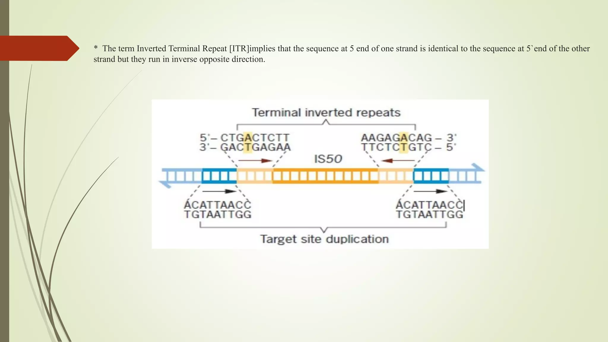 Mobile DNA elements | PDF