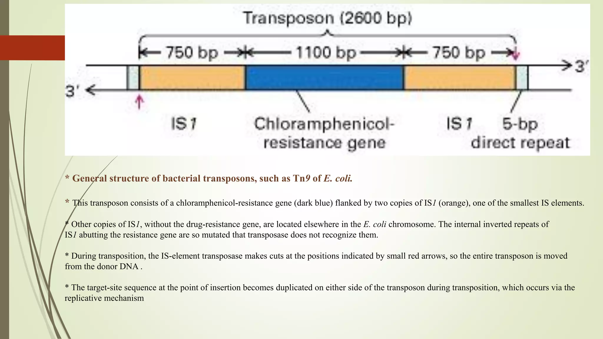 Mobile DNA elements | PDF