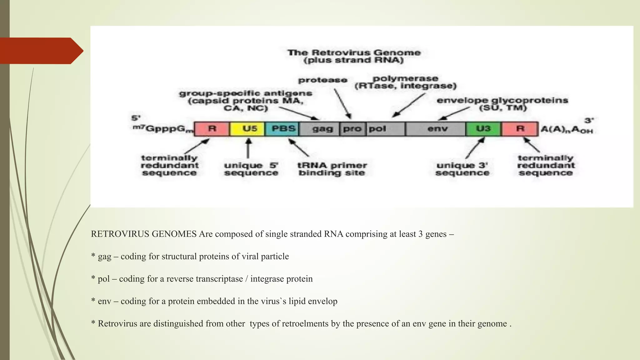 Mobile DNA elements | PDF