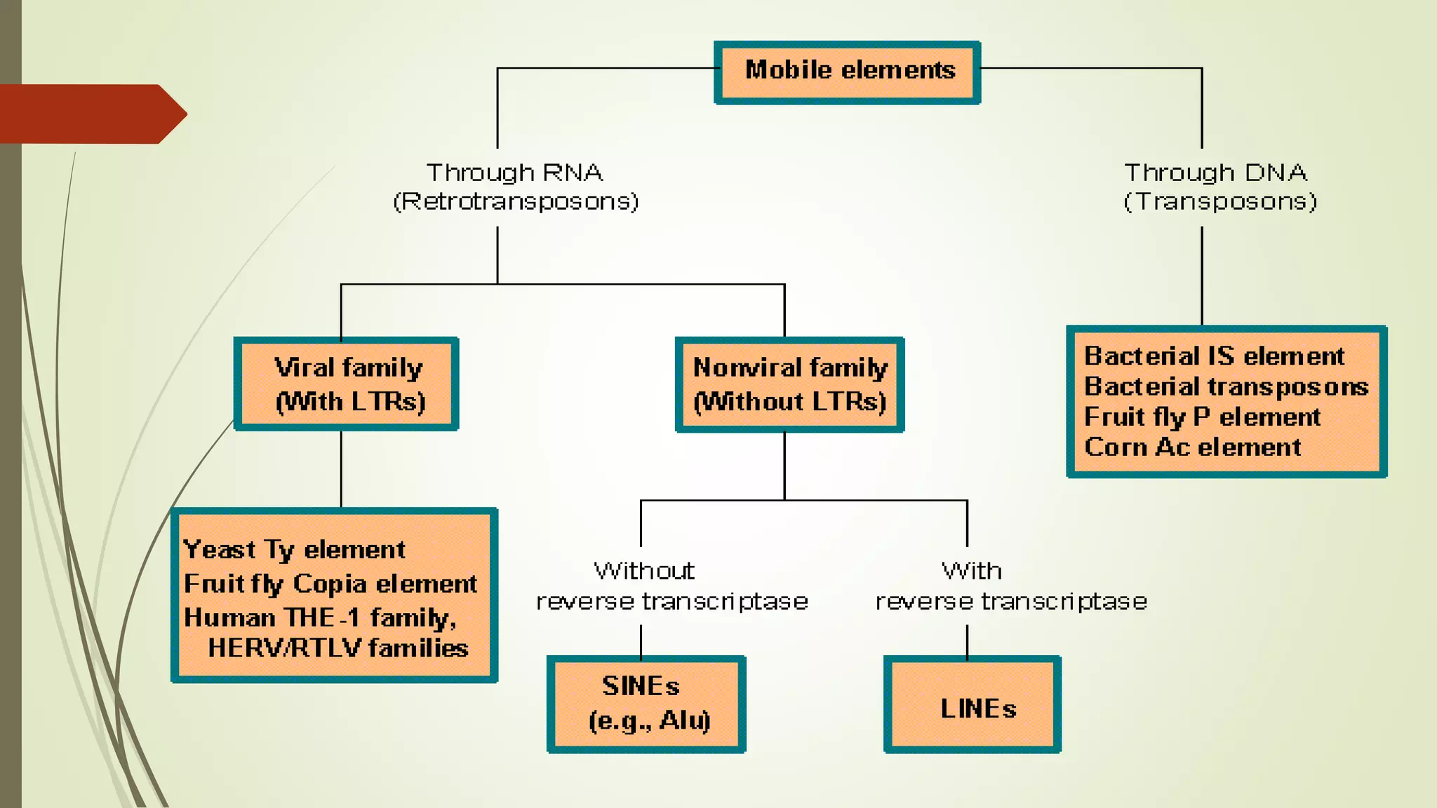 Mobile DNA elements | PDF