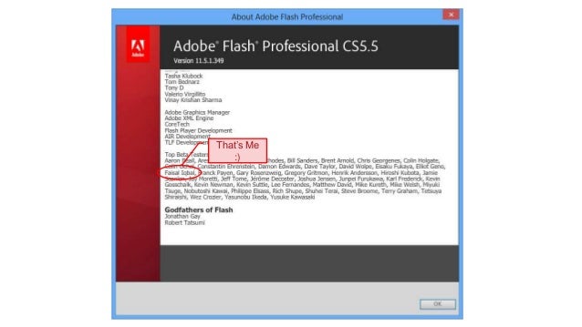 Adobe flash cs5 games - mylifelasopa