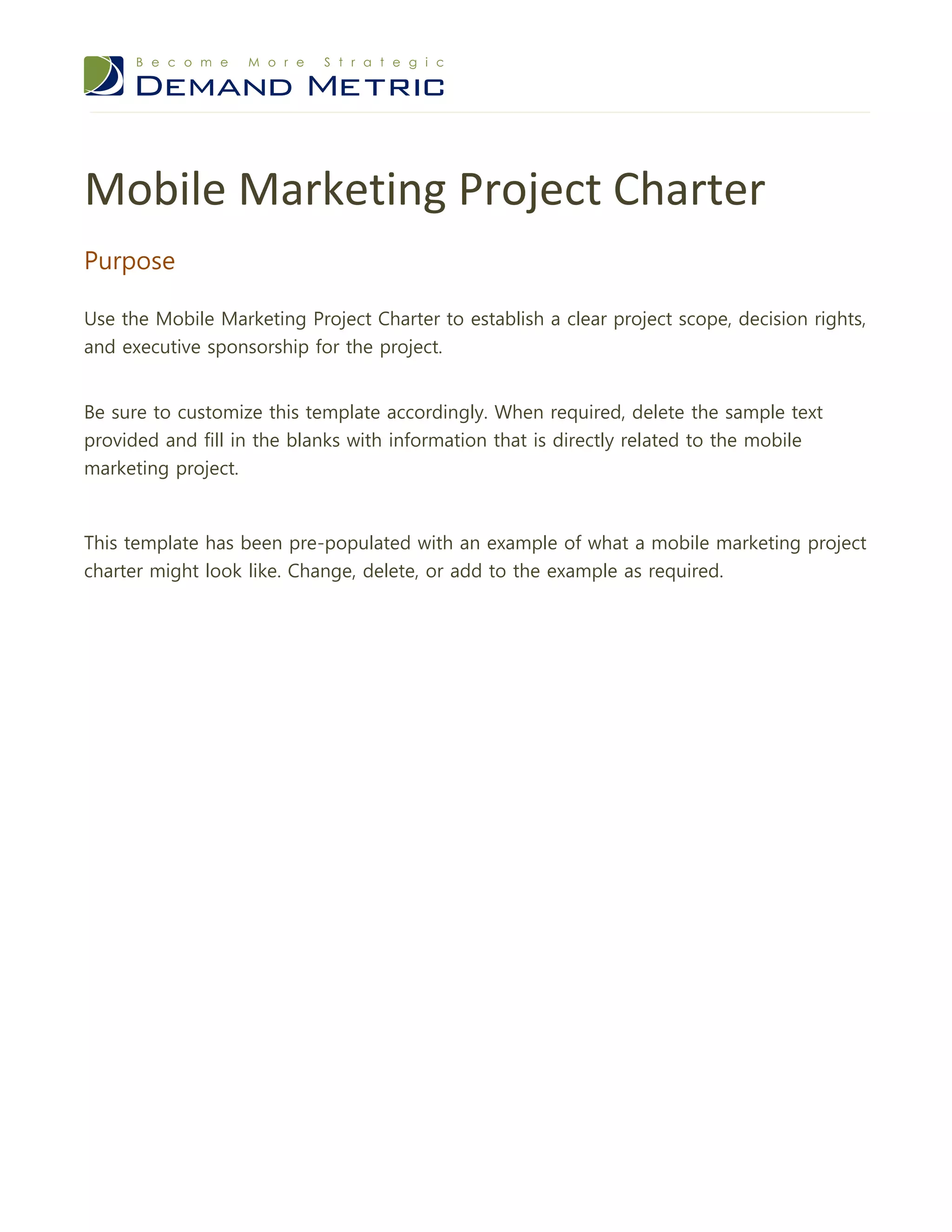 Mobile Marketing Project Charter | PDF