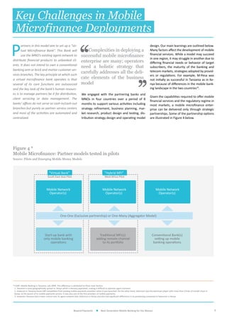 Mobile Money Report | PDF