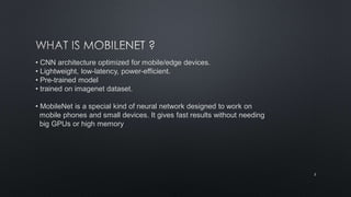 MobileNet is the pretrained model in best.pdf