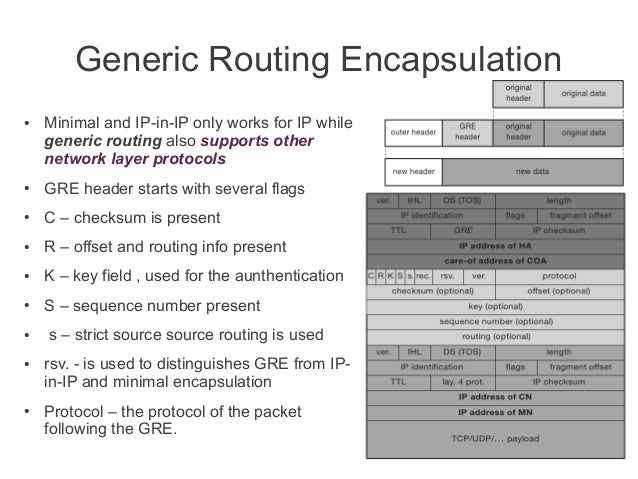 Mobile Network Layer