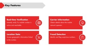 Mobile Number Lookup API by SprintVerify.pdf