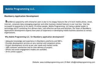 Mobile Programming Services | PPT
