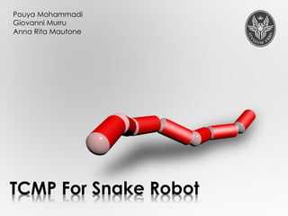 Task Constrained Motion Planning for Snake Robot | PDF | Programming Languages | Computing