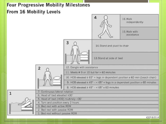 early Mobility in ICU | PPTX | First Aid | Injuries