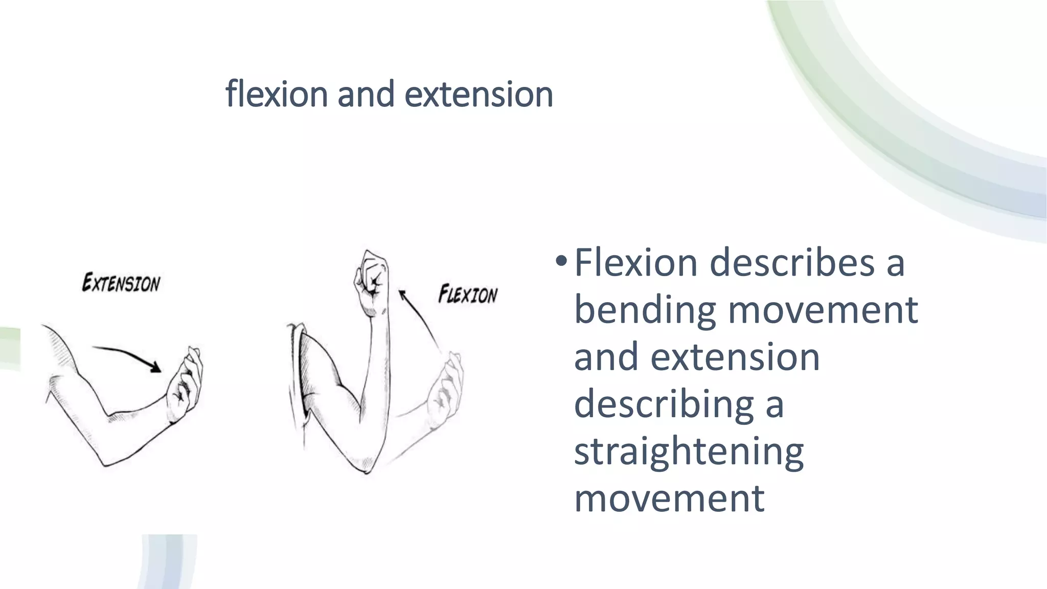 mobility and immobility.pptx