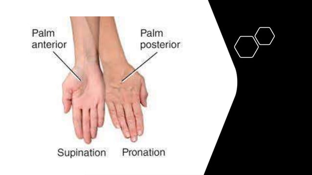 mobility and immobility.pptx | Physical Therapy | Wellness