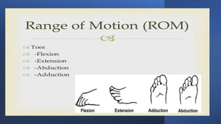 mobility and immobility.pptx | Physical Therapy | Wellness