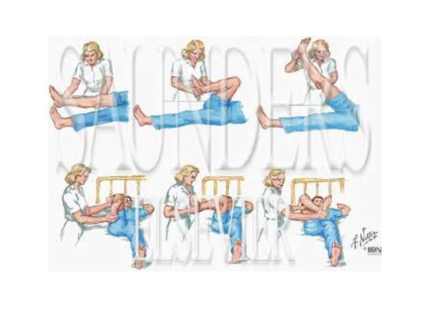 MOBILITY & IMMOBILITY.ppt