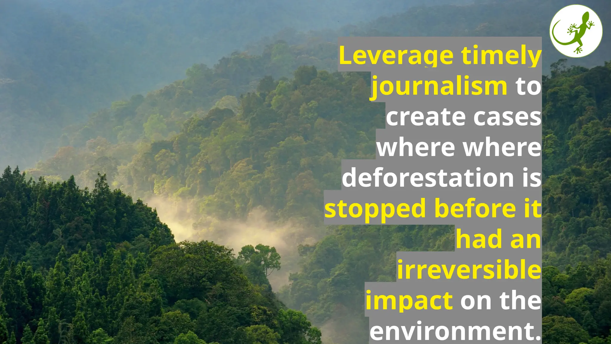 Mobilizing Impact How GFW Drives Innovation and Collaboration to Combat ...