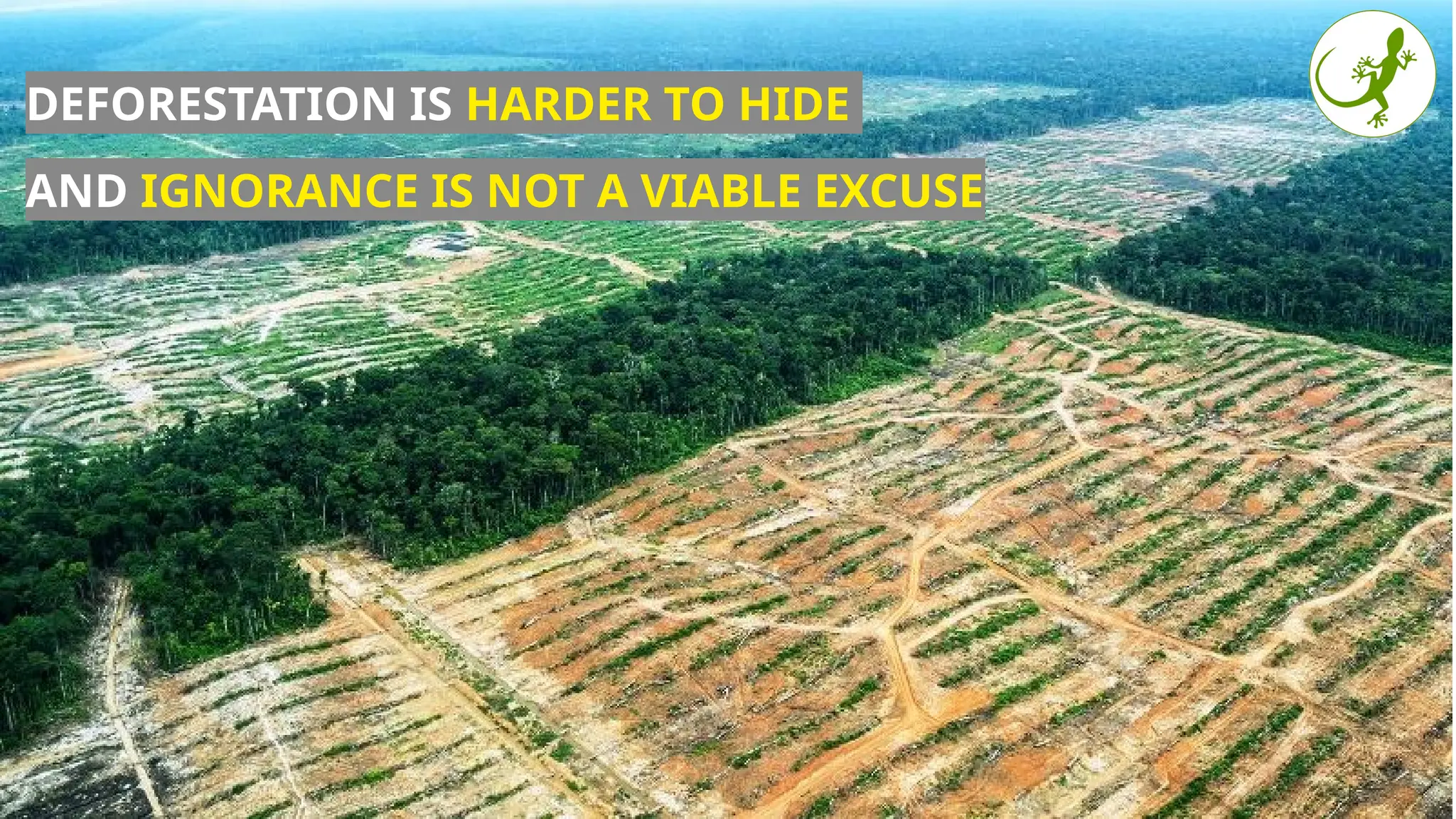 Mobilizing Impact How GFW Drives Innovation and Collaboration to Combat Deforestation.pptx