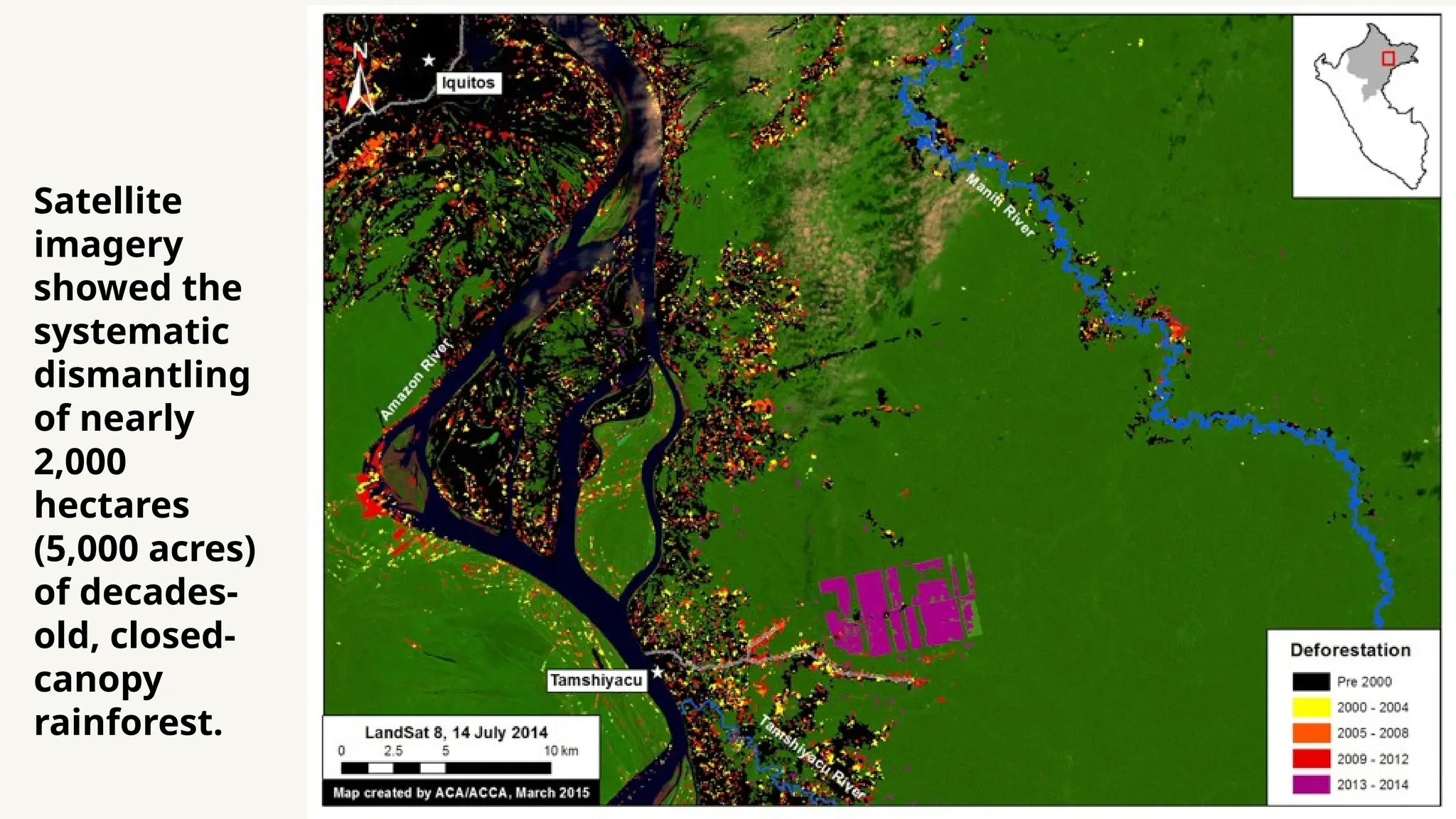 Mobilizing Impact How GFW Drives Innovation and Collaboration to Combat ...