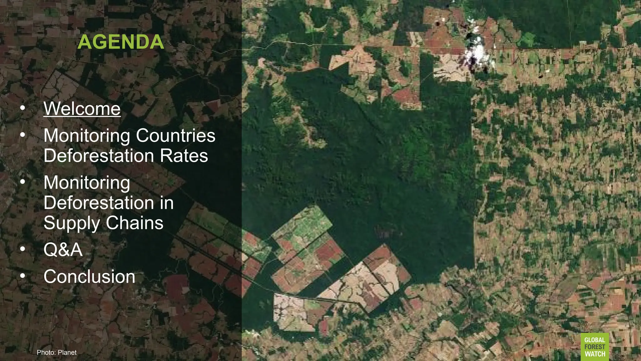 Mobilizing Impact How GFW Drives Innovation and Collaboration to Combat Deforestation.pptx