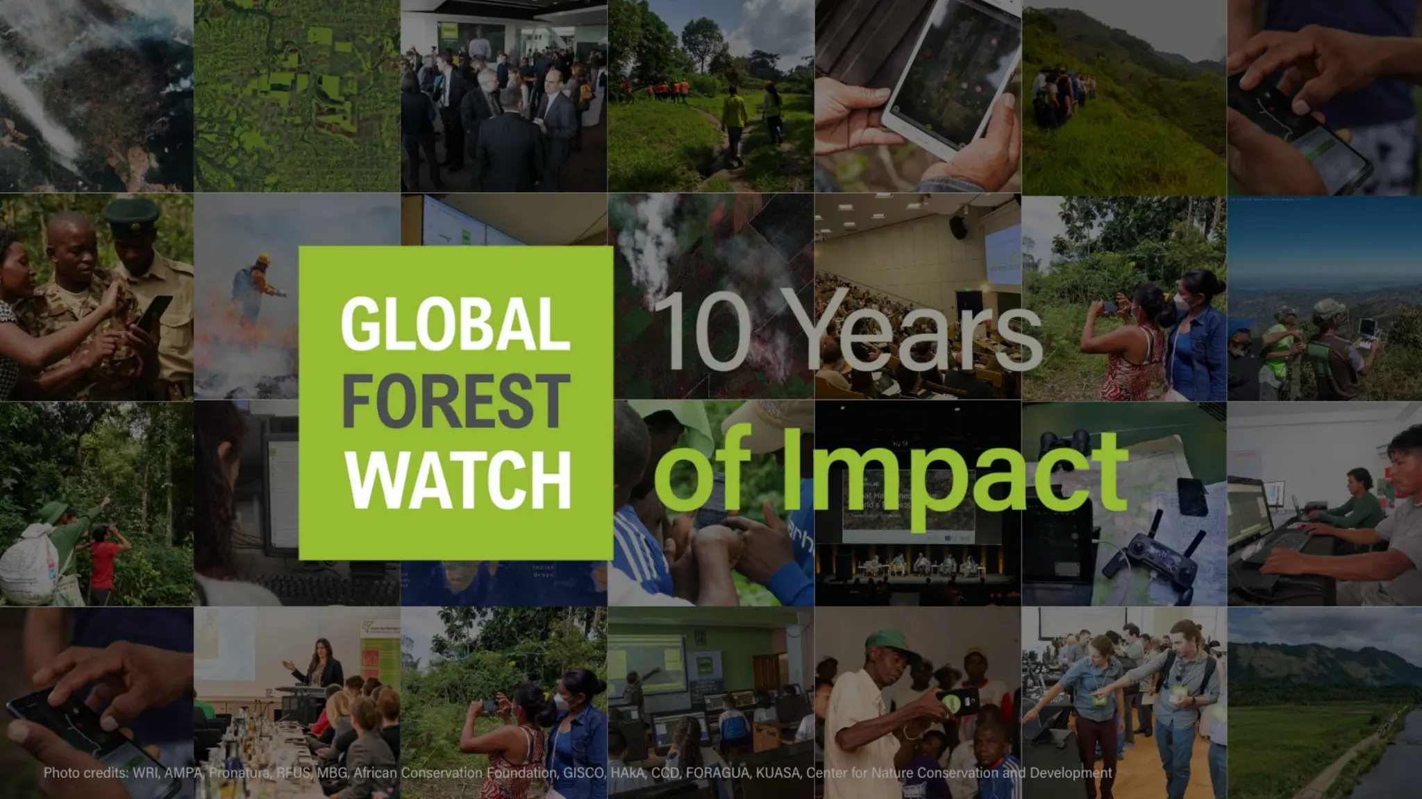 Mobilizing Impact How GFW Drives Innovation and Collaboration to Combat Deforestation.pptx