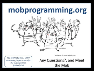 Mob Programming | PDF