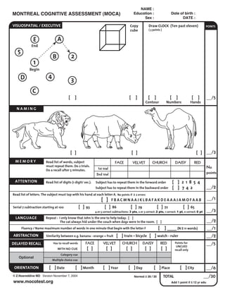 Dementia Cognitive Test