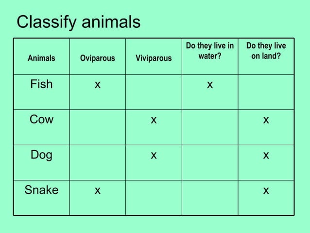Mock exam animals | PPT