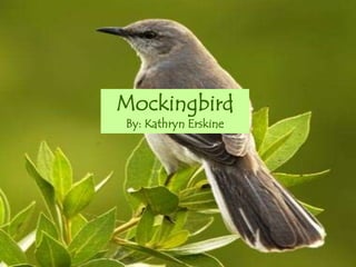 Mockingbird powerpoint | PPTX