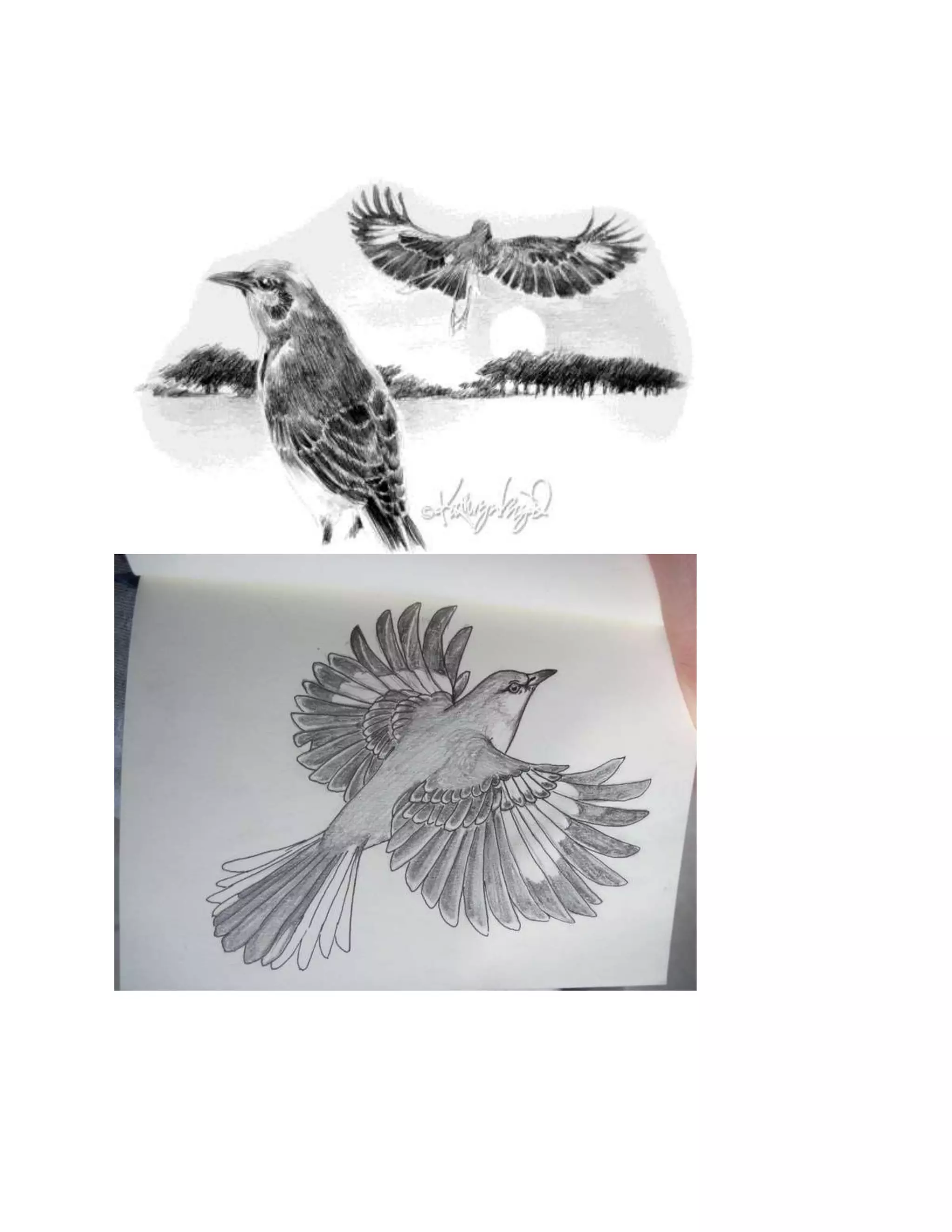 Mocking bird | DOCX
