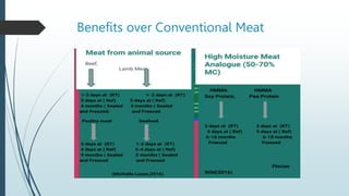 mock meat ppt riya.pptx