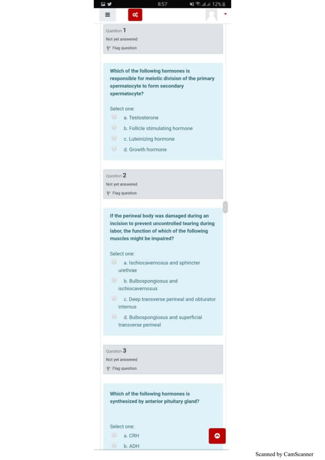 Mock mid module | PDF