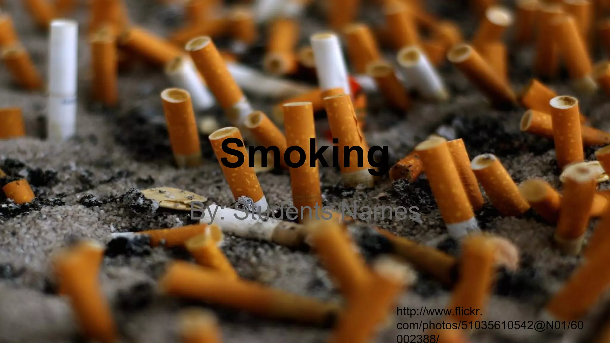 Mock presentation about Health | PDF