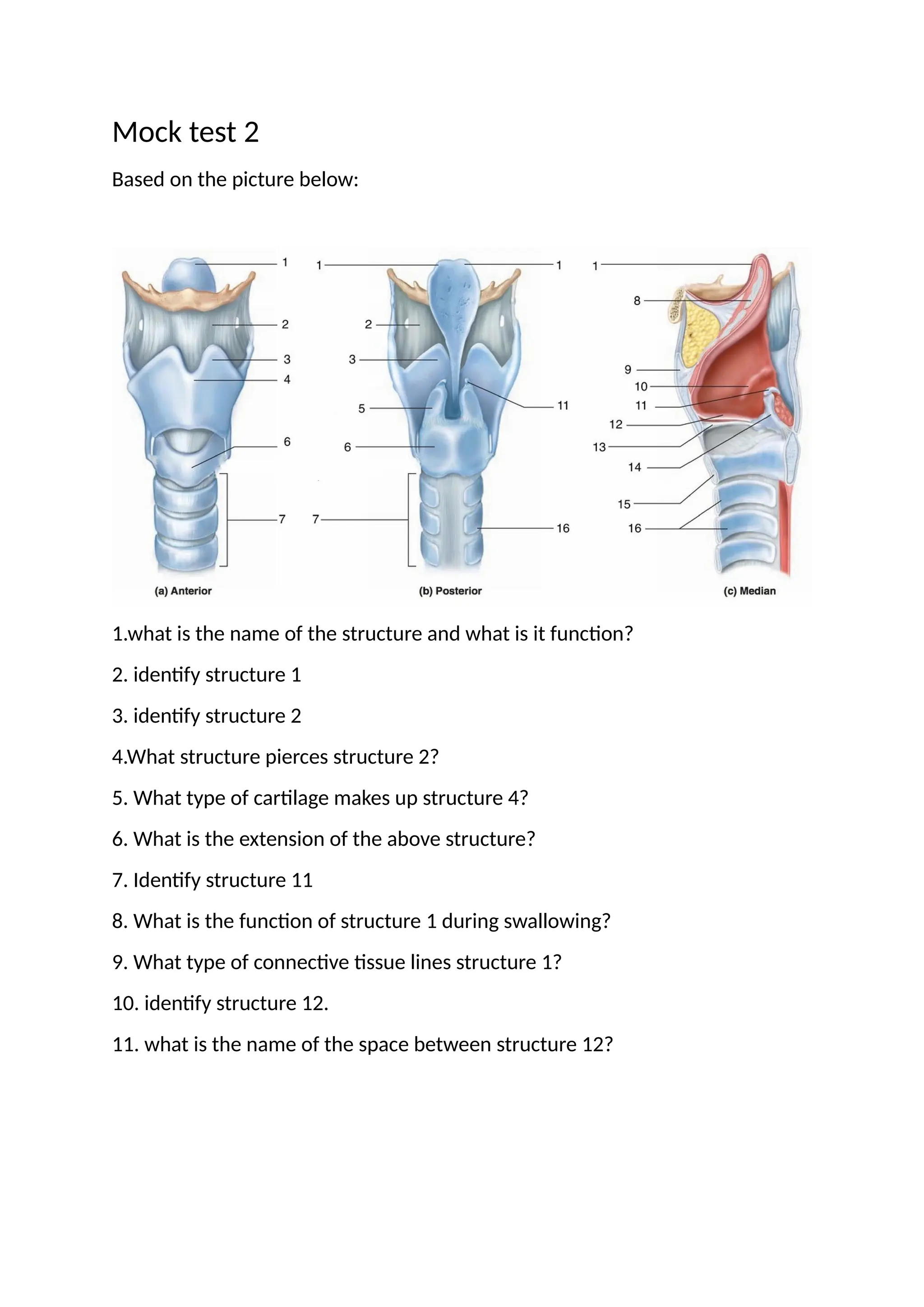 Neuroanatomy osteology (larynx) mock test | DOCX