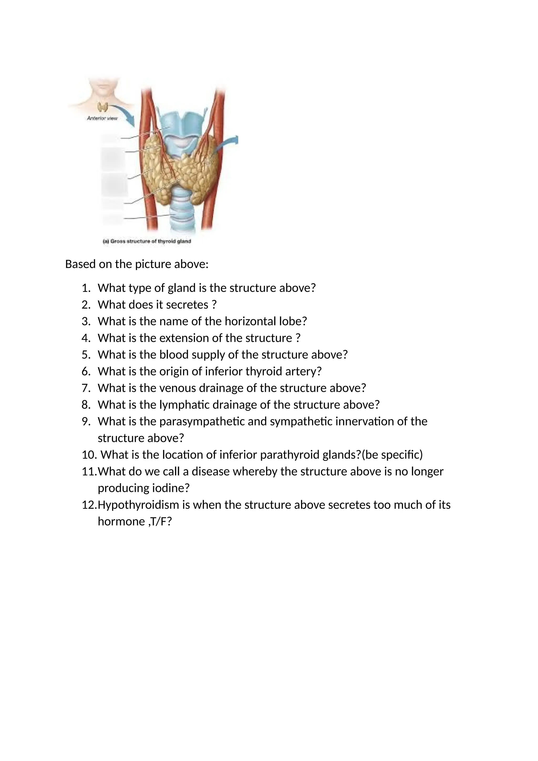 Neuroanatomy osteology (larynx) mock test | DOCX
