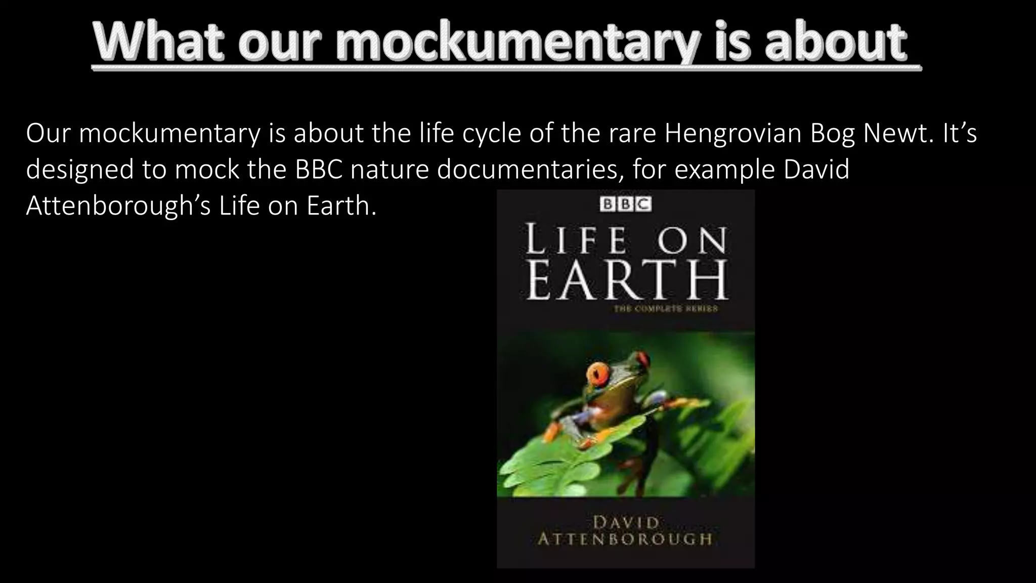 Mockumentary Presentation | PPTX