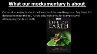 Mockumentary Presentation | PPTX