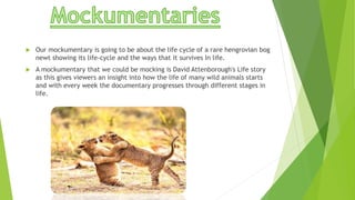 Mockumentay | PPTX