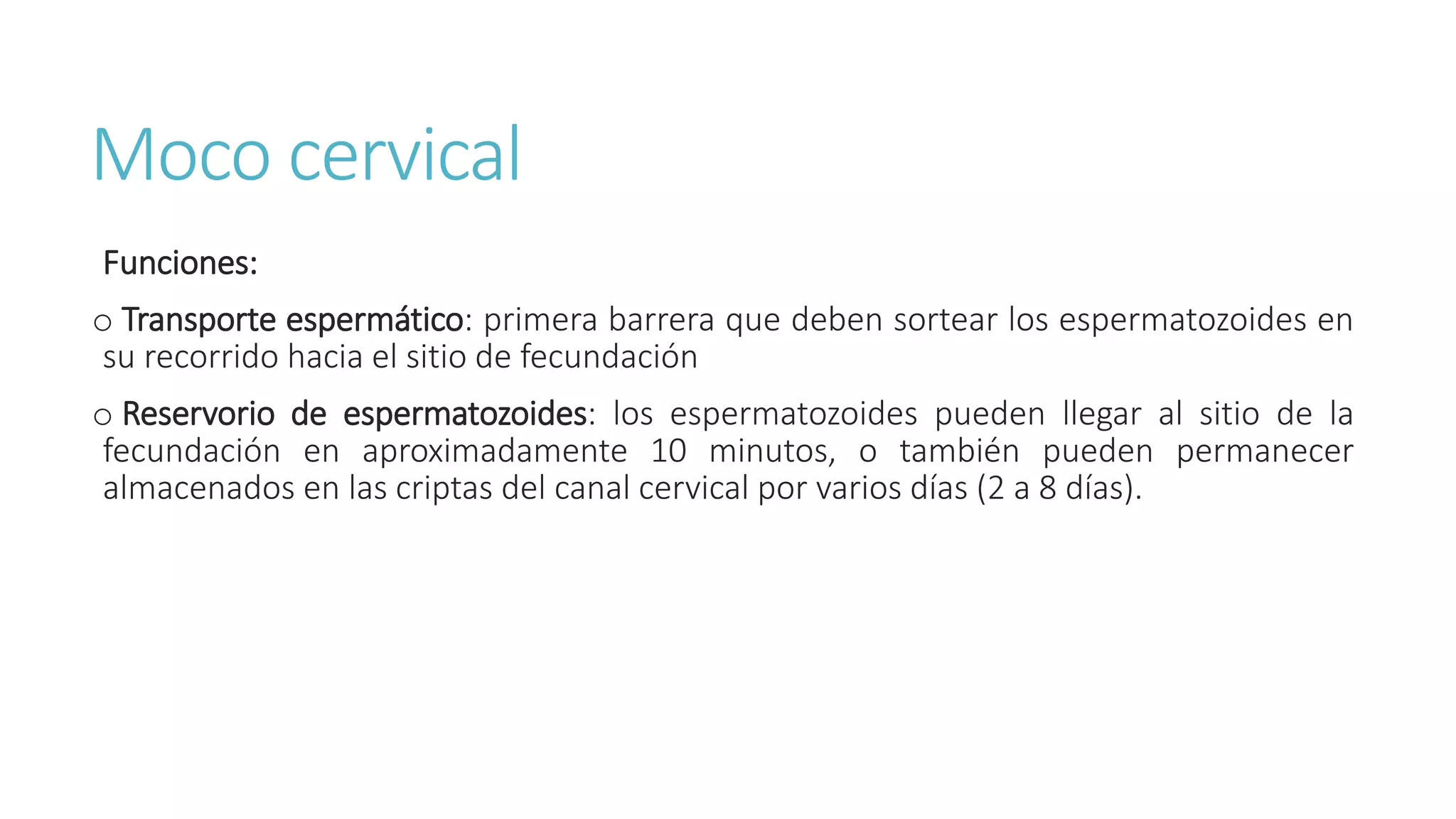 Moco cervical | PPTX