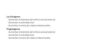 Moco cervical | PPTX